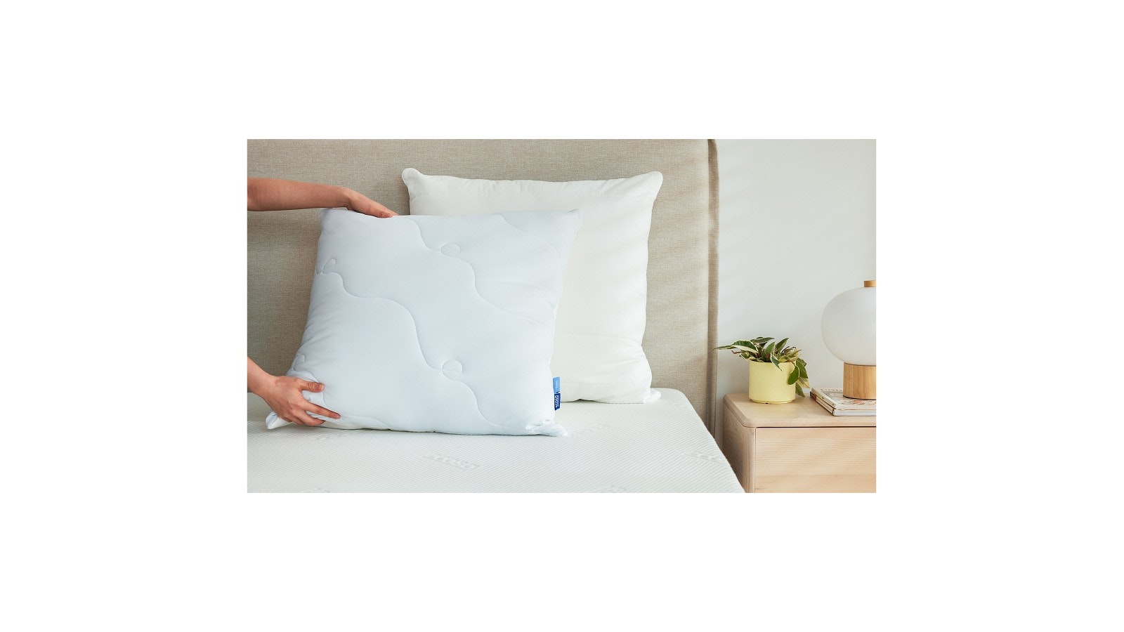 Ecosa Loft Pillow (Made From Bottles, Not Birds)