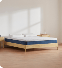 Ecosa Zen Bed Base | Foundation Bed Base | Ecosa® Eco Sleep New Zealand